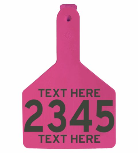 Z Tag One Piece Maxi (XL) Tag - 4Tags.co.nz