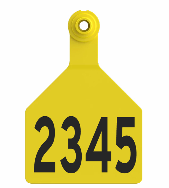 Z Tag 2 Piece Maxi (XL) Female - 4Tags.co.nz