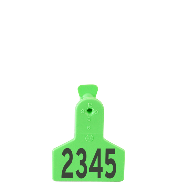 Z Tag One Piece Medium Tag - 4Tags.co.nz