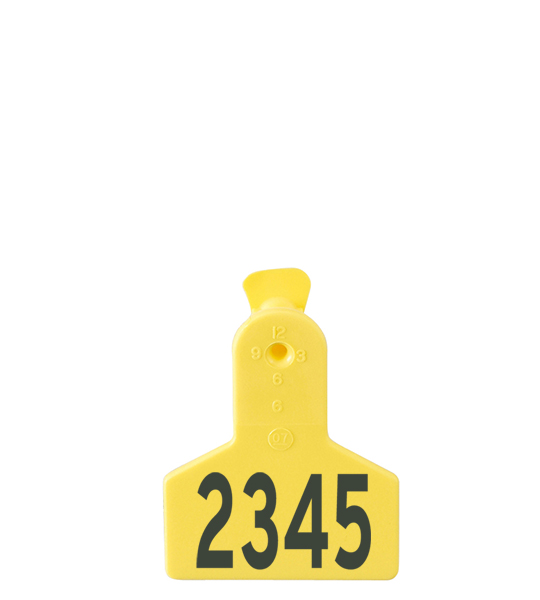 Z Tag One Piece Medium Tag - 4Tags.co.nz