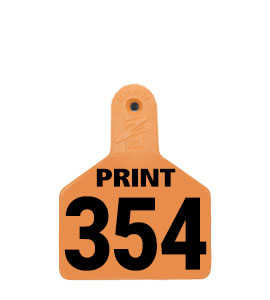 Z Tag 2 Piece Large Male - 4Tags.co.nz