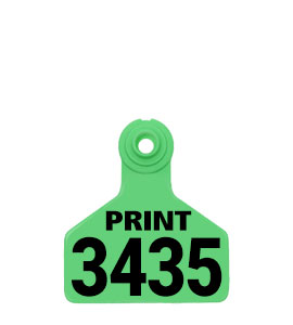 Z Tag 2 Piece Medium Female - 4Tags.co.nz