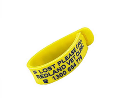 Collar Tags - 4Tags.co.nz