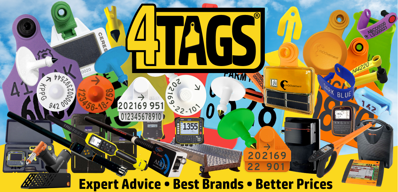 About Us - 4Tags.co.nz