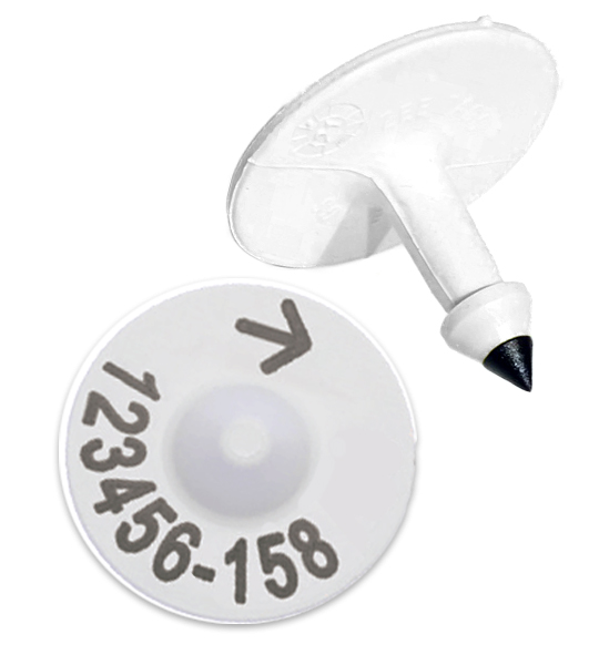 Z Tag NAIT Cattle Tag - 4Tags.co.nz