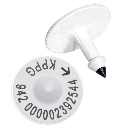 Z Tag NAIT Cattle Tag - 4Tags.co.nz