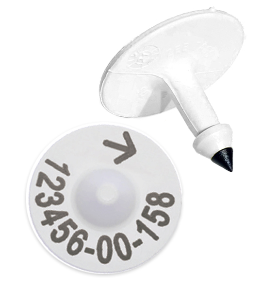 Z Tag NAIT Cattle Tag - 4Tags.co.nz