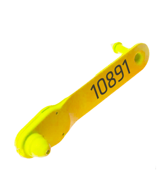 Z Tag Pedigree Tags - 4Tags.co.nz