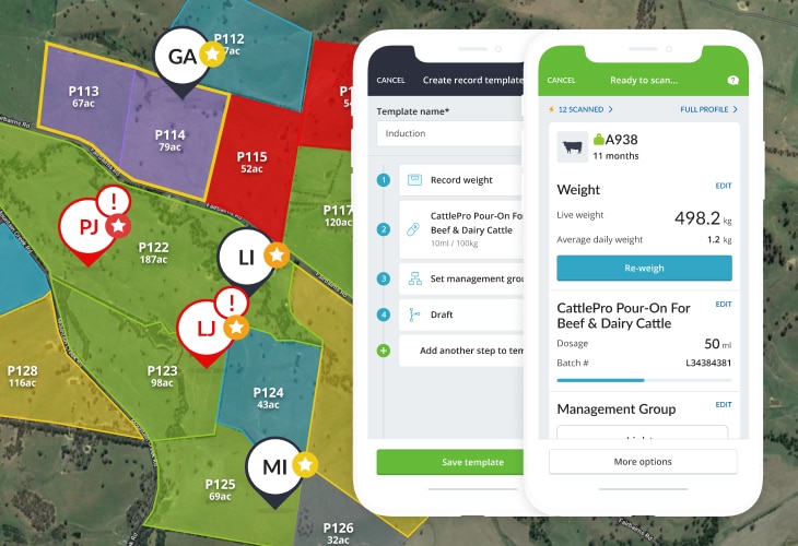 AgriWebb - Individual - Performance - 4Tags.co.nz