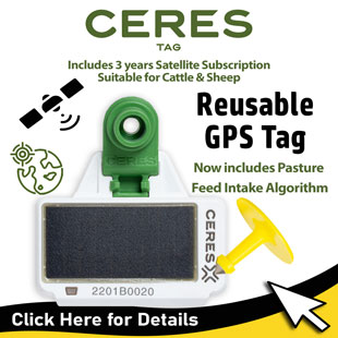 Just Better - 4Tags.co.nz