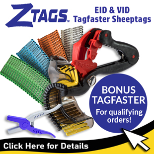 Just Better - 4Tags.co.nz