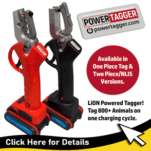 Just Better - 4Tags.co.nz